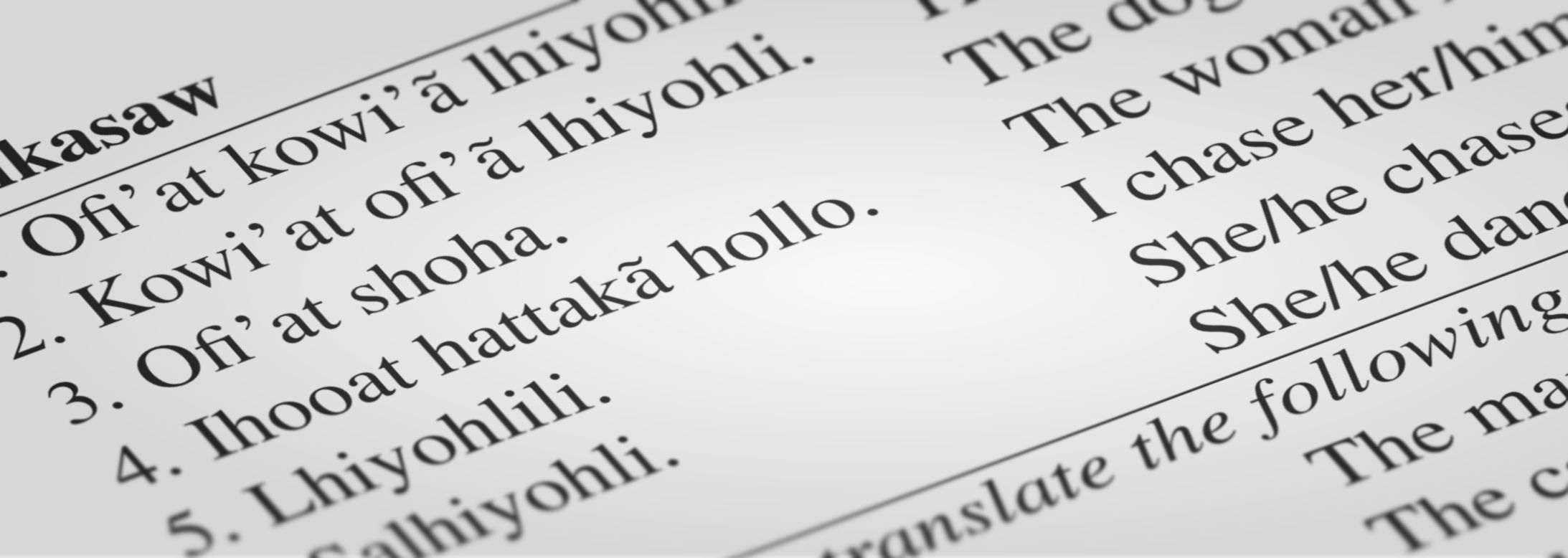 Jannis Vamvas - Translation Puzzles are In‑context Learning Tasks